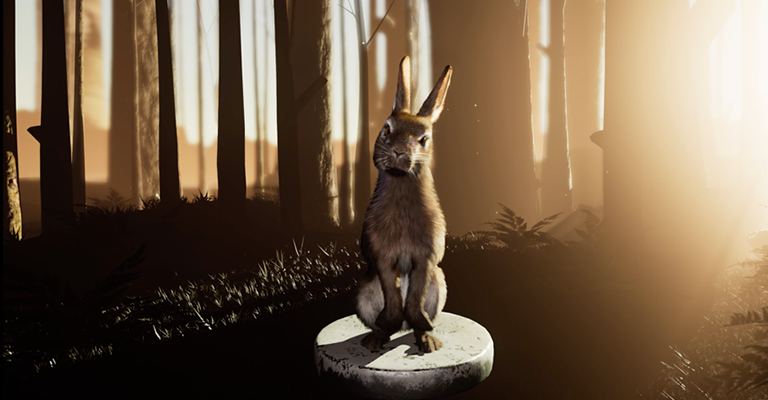 PETA Gives Animals a Voice: “Eye to Eye” – the First Virtual Reality ...